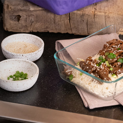 HOTLOGIC Portable Food Warmer